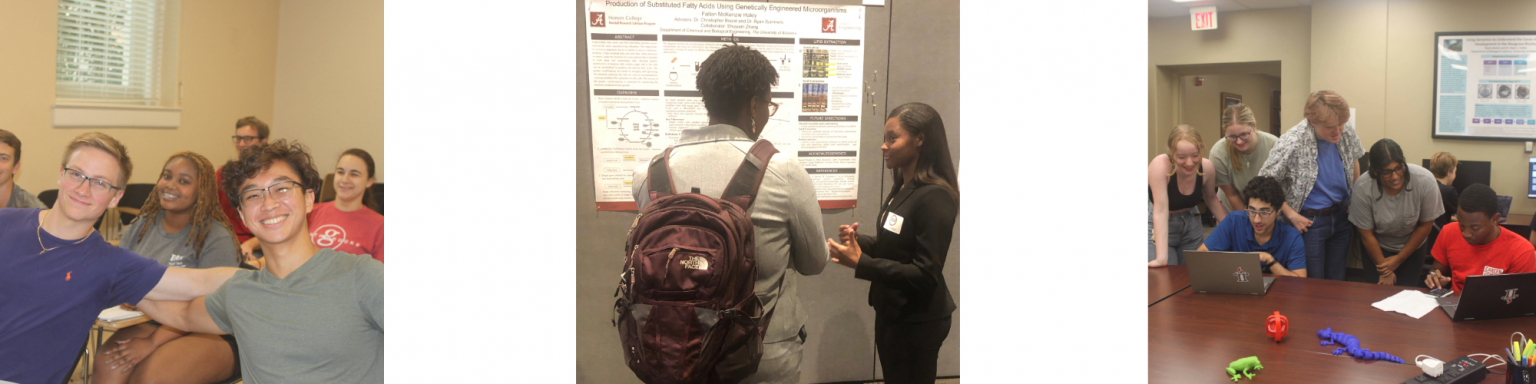 Randall Research Scholars Program | Honors College